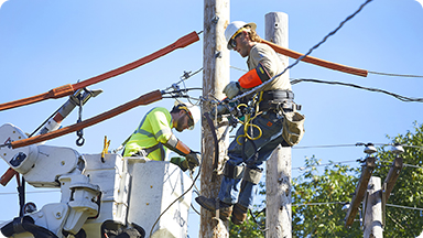 Company Overview - CMP